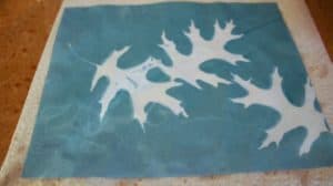 How to Use Sun Print Paper to Make Amazing Art Using Cyanotype Process ...