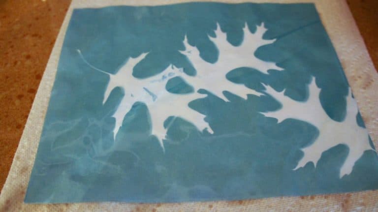 How to Use Sun Print Paper to Make Amazing Art Using Cyanotype Process ...